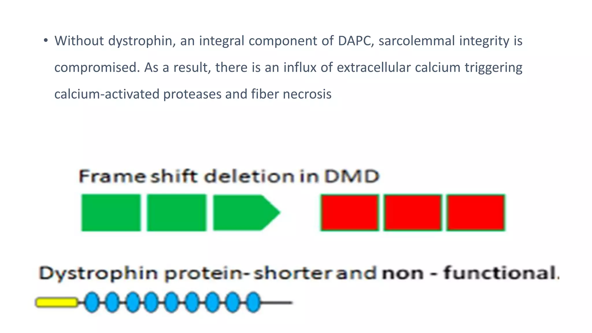 X linked diseases-mitochondrial diseases | PPTX
