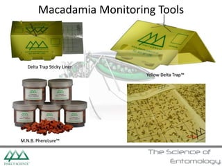 Macadamia Nut Borer Control Method - Insect Science | PPTX