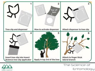 Macadamia Nut Borer Control Method - Insect Science | PPTX