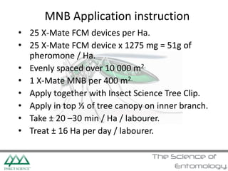 Macadamia Nut Borer Control Method - Insect Science | PPTX