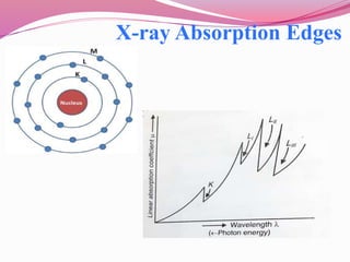 X ray | PPTX