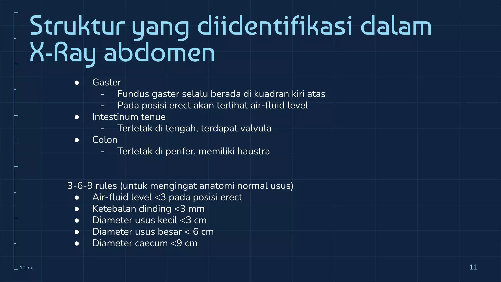 X-Ray Abdomen Lena.pdf