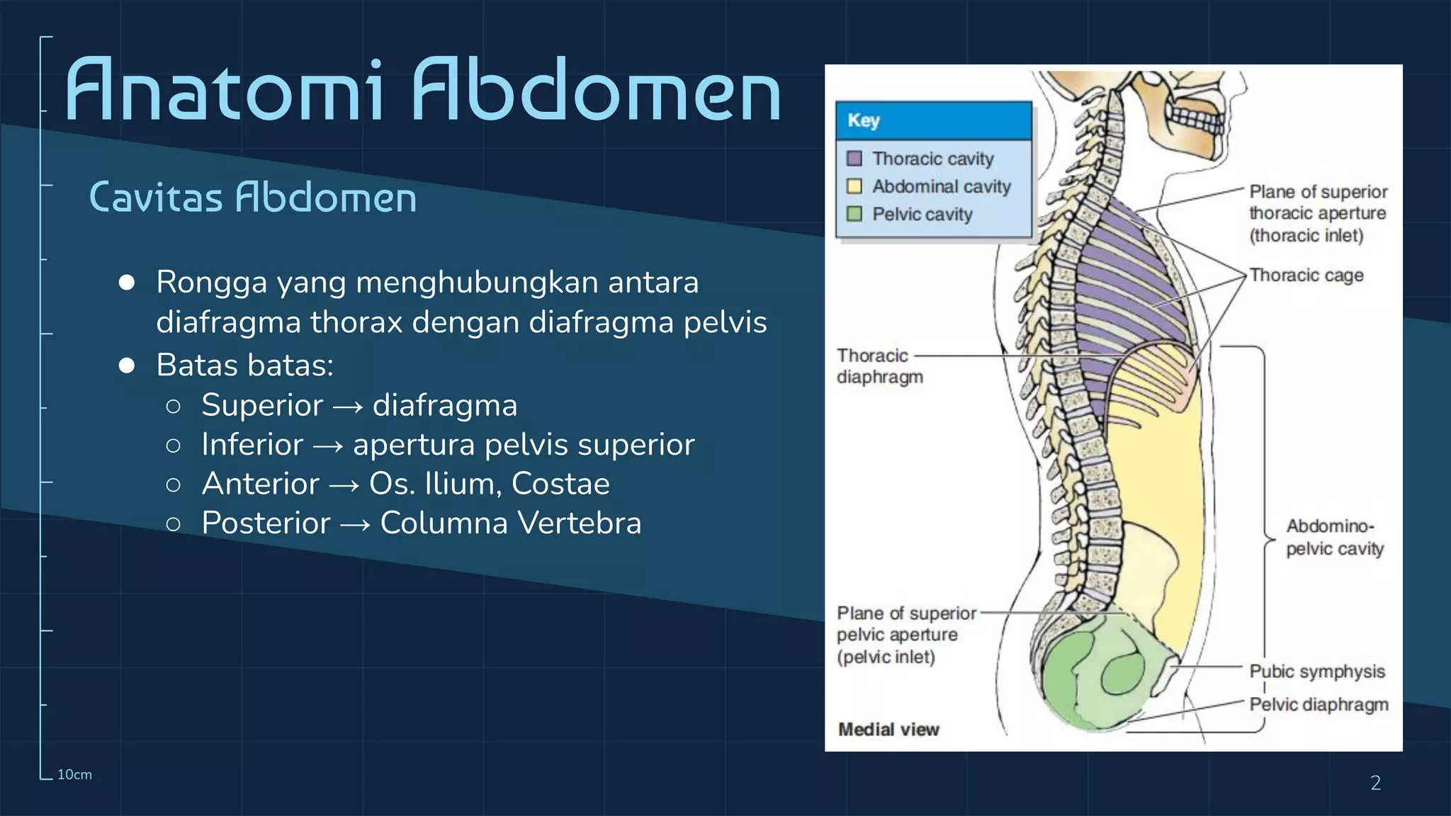X-Ray Abdomen Lena.pdf