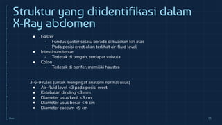 X-Ray Abdomen Lena.pdf