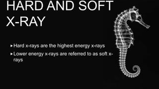 X - Rays | PPTX