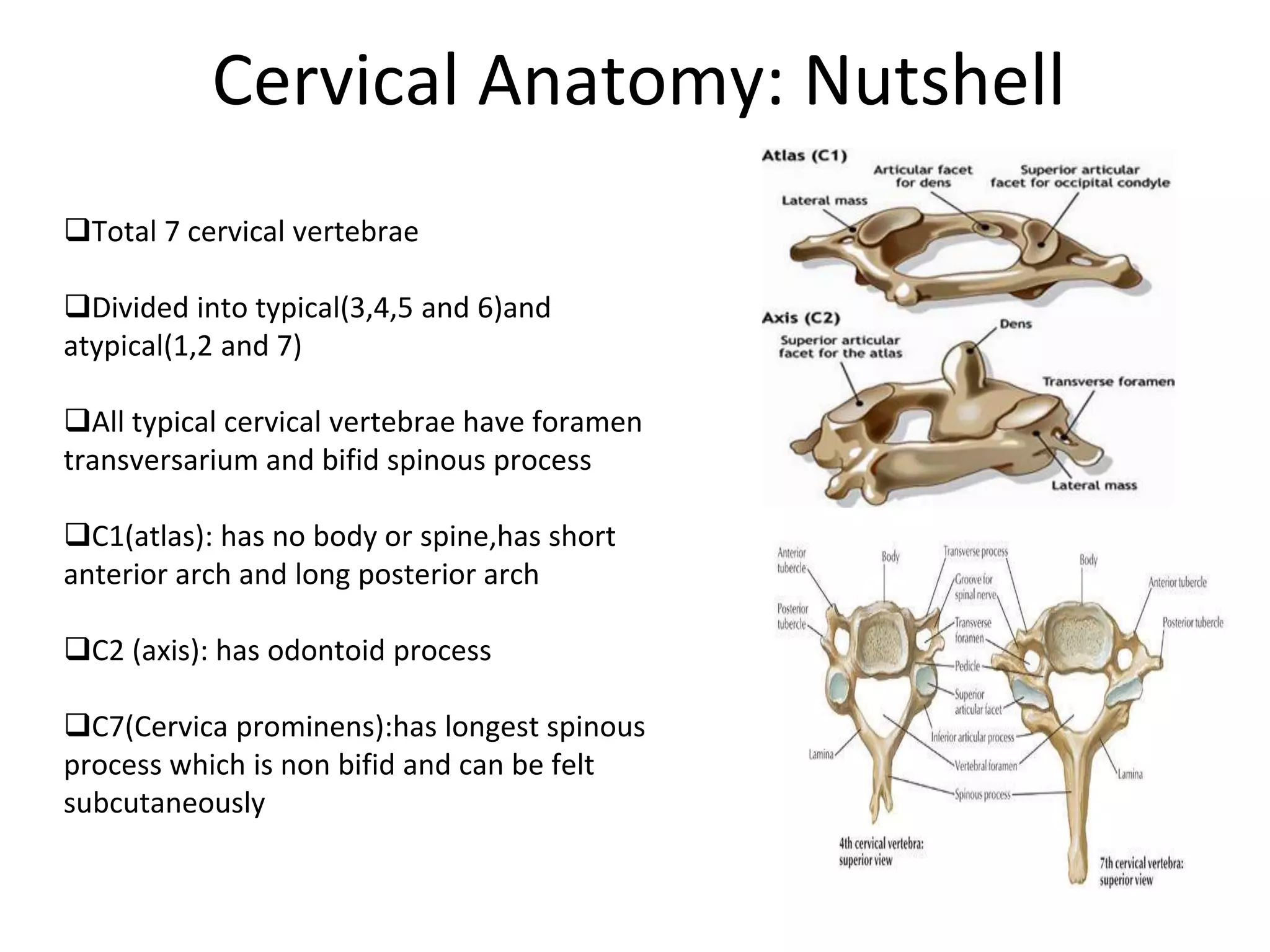 X ray c-spine | PPTX