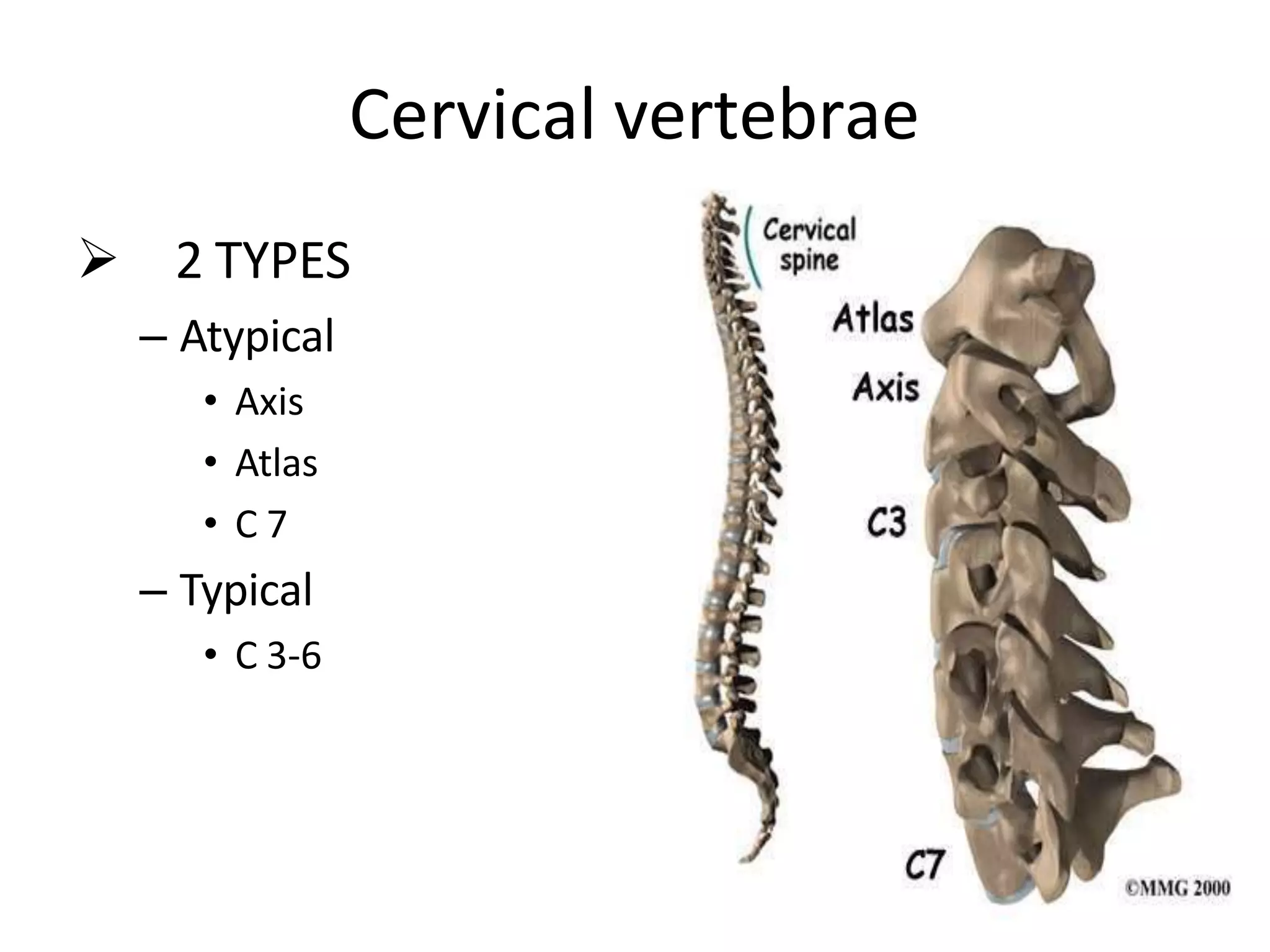 X ray c-spine | PPTX