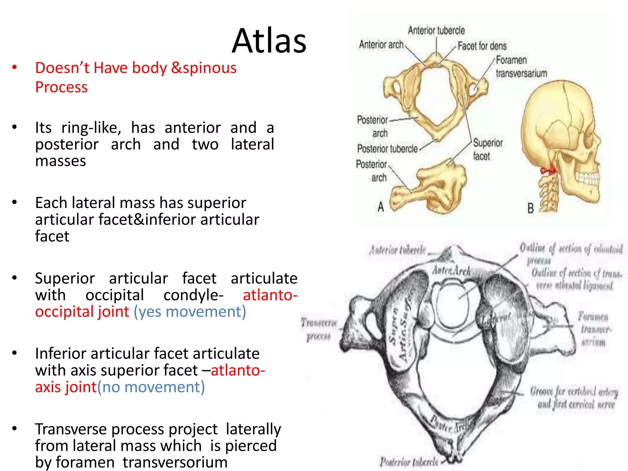 X ray c-spine | PPTX