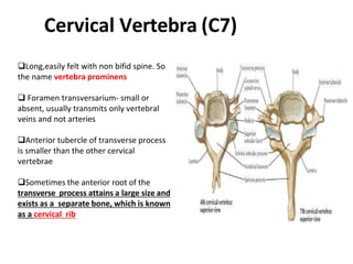 X ray c-spine | PPTX