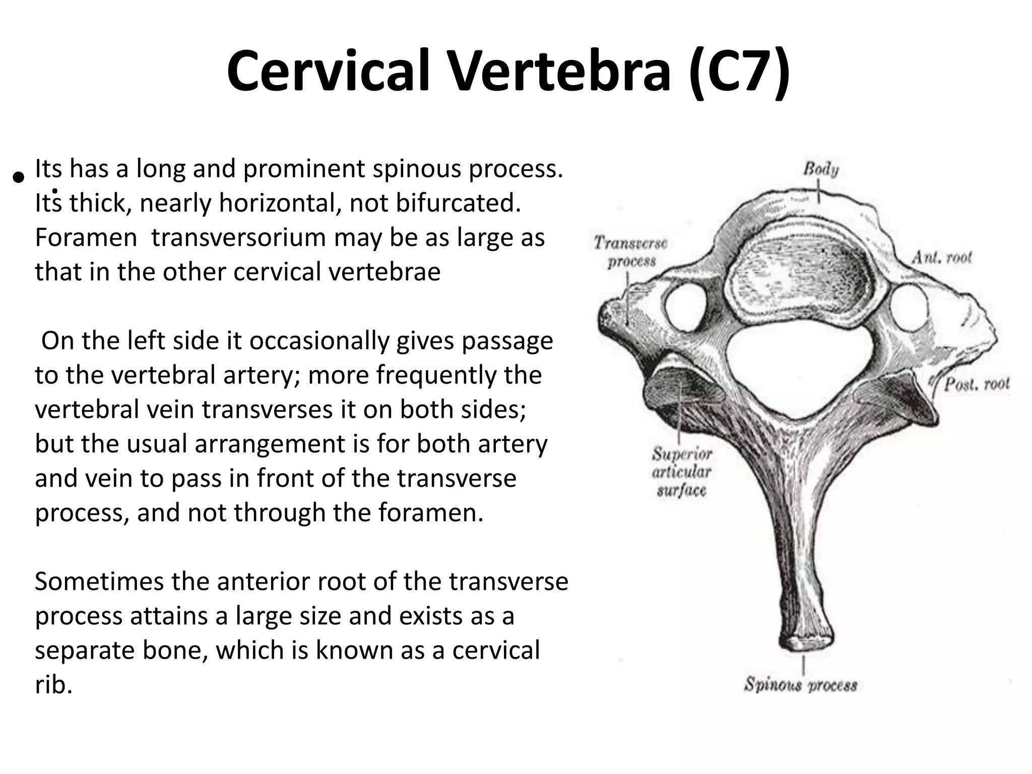 X ray c-spine | PPTX