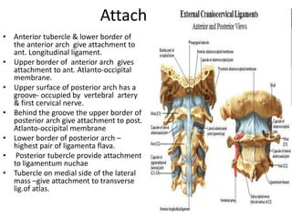 X ray c-spine | PPTX