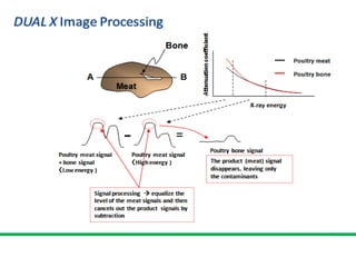 X ray in food safety | PPTX
