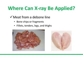X ray in food safety | PPTX