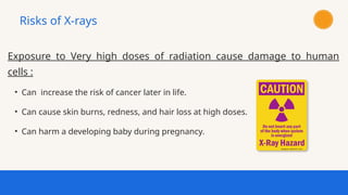 X-ray Hazards . Education. Lecture. Dental | PPT