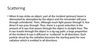 X-Ray Imaging Technique and Interpretation for Physiotherapists.pptx