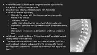 10 most interesting X-ray cases (Jan 2024 ) | PDF