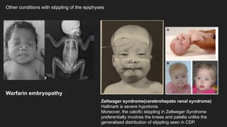 10 most interesting X-ray cases (Jan 2024 ) | PDF