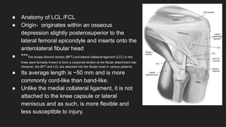 10 most interesting X-ray cases (Jan 2024 ) | PPT