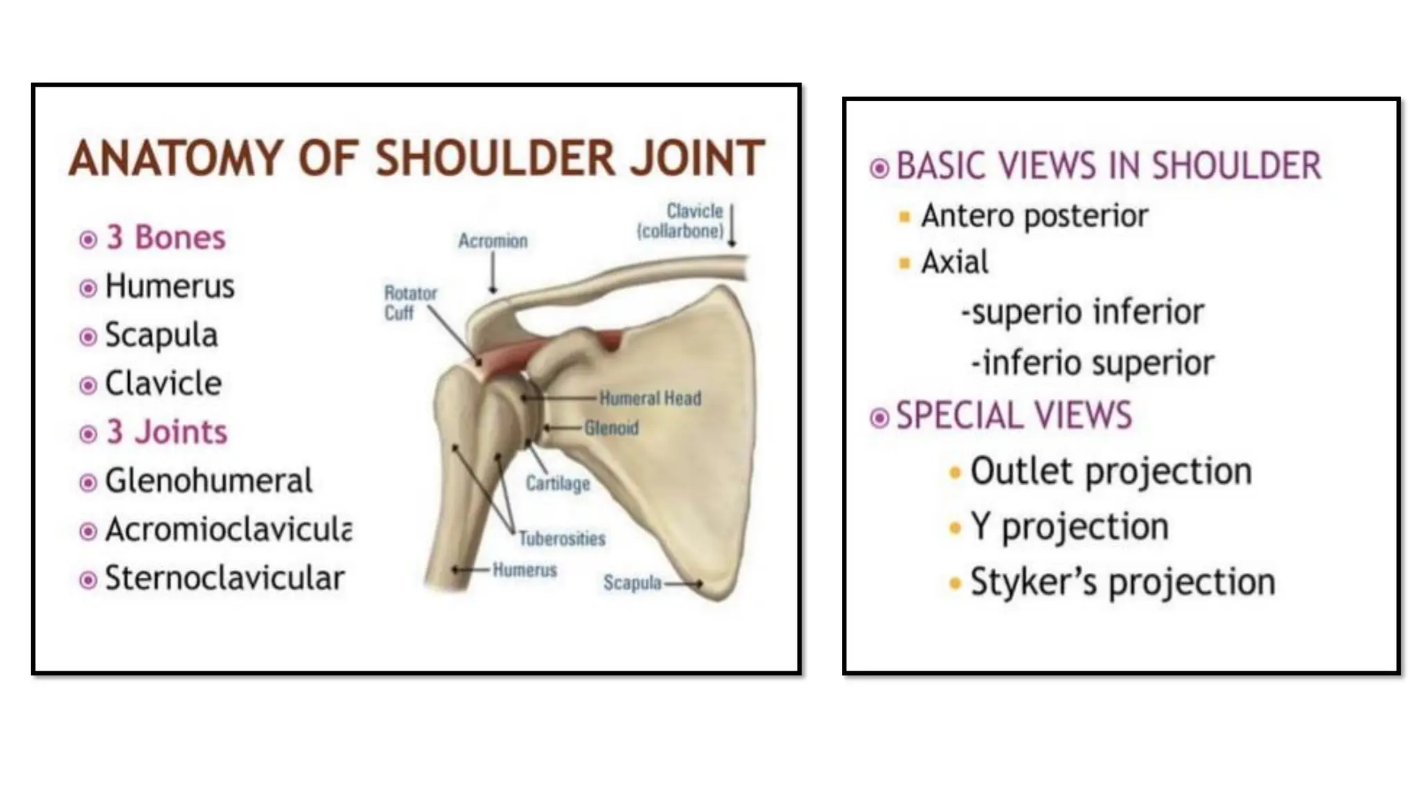 X-ray Joints imaging positions by dr. Eman Hamed | PDF