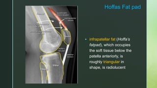 X ray knee joint | PPTX