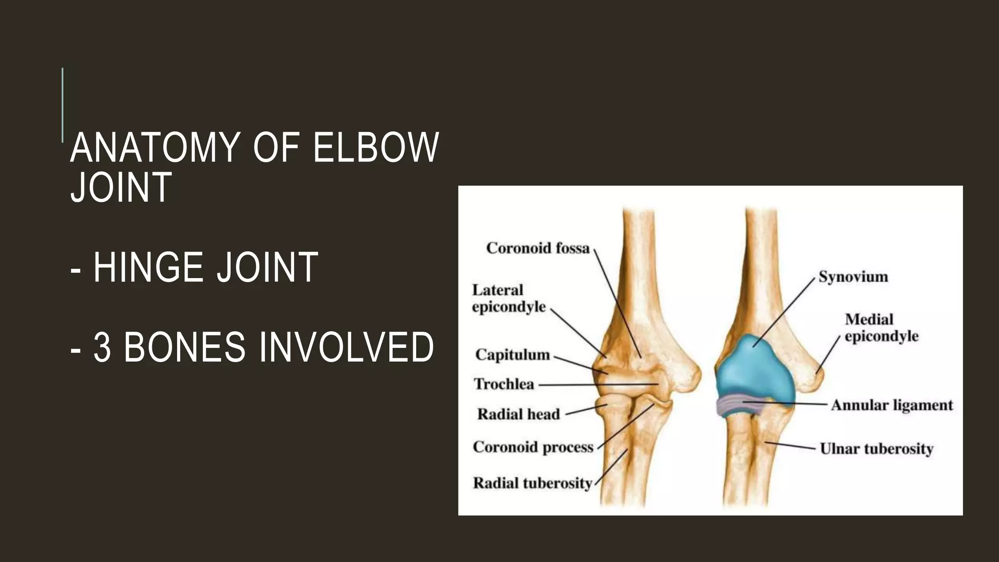 X ray of elbow joint | PPTX