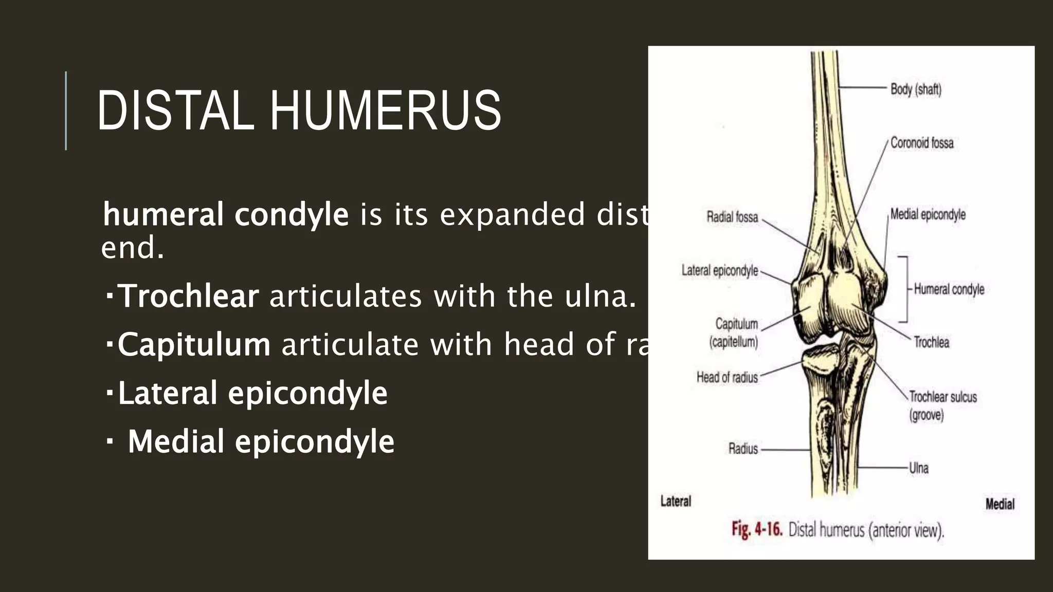 X ray of elbow joint | PPTX