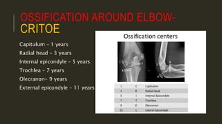 X ray of elbow joint | PPTX
