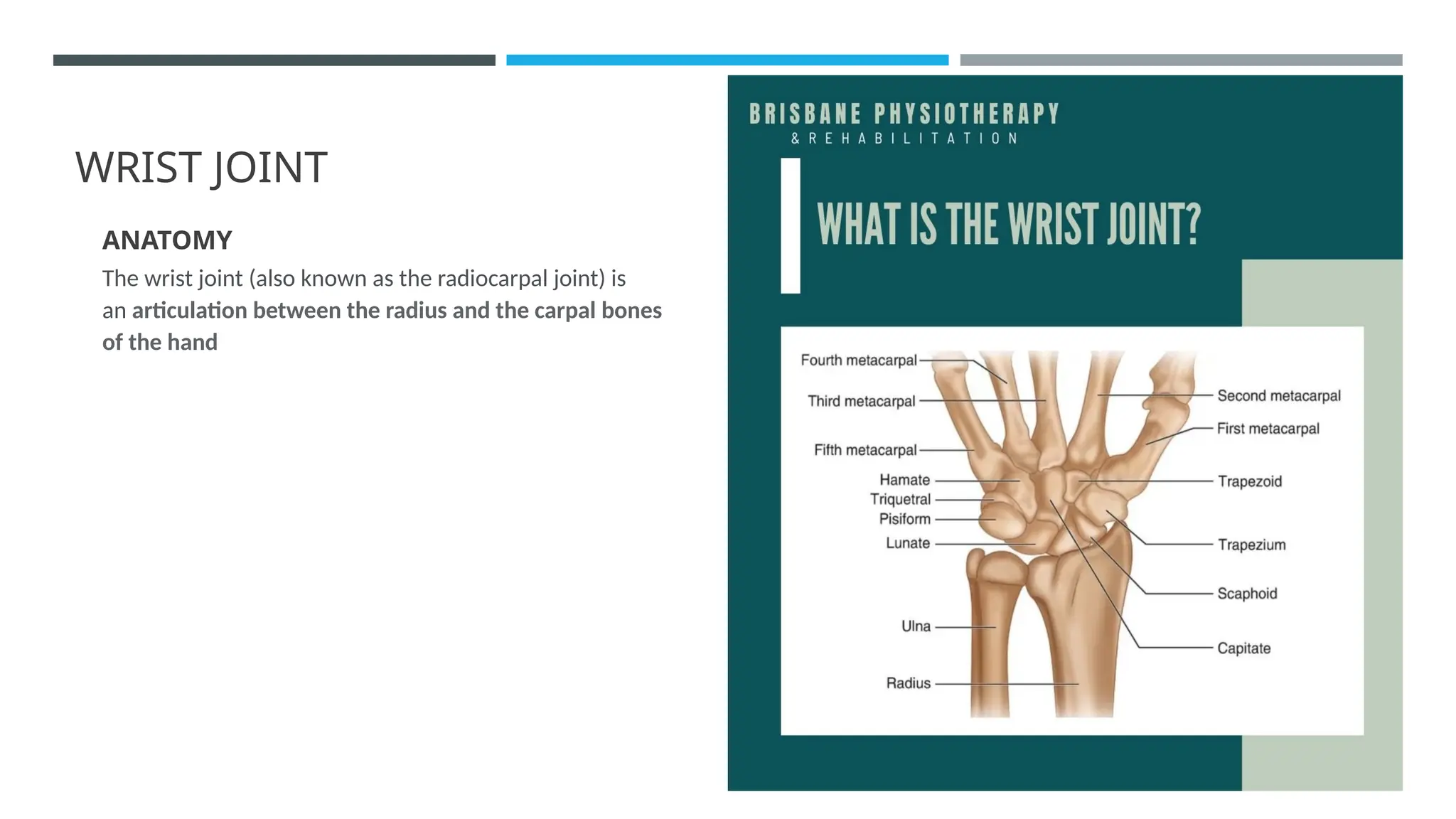 x-ray projections for wrist joint.pptx... | PPTX