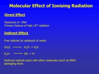 x-ray_safety_presentation__2_.ppt