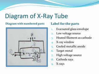 X-Rays and their Medical Use.pptx