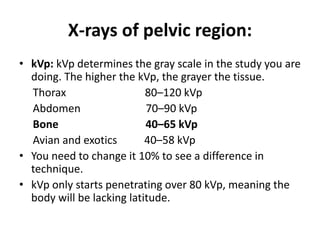 X rays of pelvic limb | PPT
