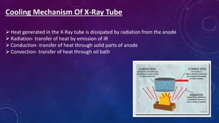 X-ray Tube & Production.pptx