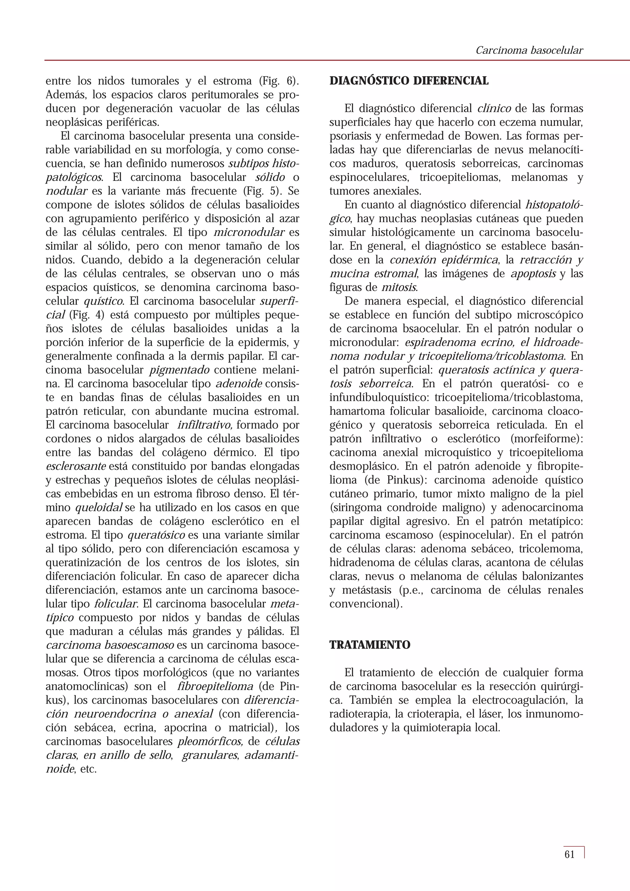 Carcinoma basocelular | PDF | Skin and Dermatology | Diseases and ...