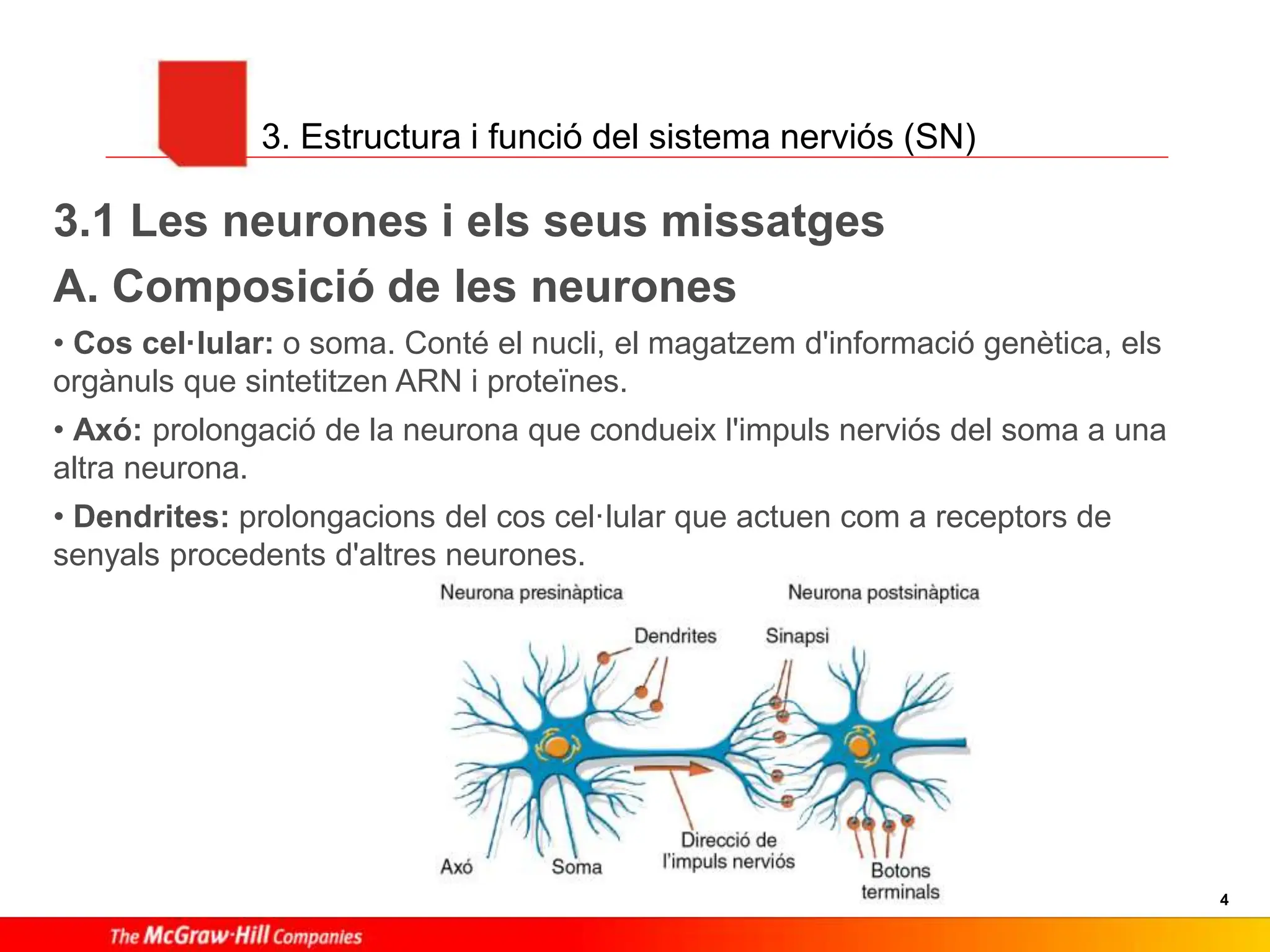 Fonaments_biologics_de_la_conducta_-_McGrawHill.ppt