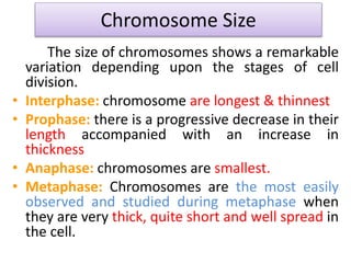 Chromosome_Strcture_and_fuction.pptx