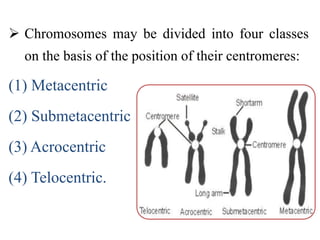 Chromosome_Strcture_and_fuction.pptx