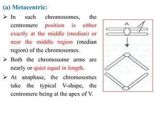 Chromosome_Strcture_and_fuction.pptx