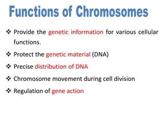 Chromosome_Strcture_and_fuction.pptx