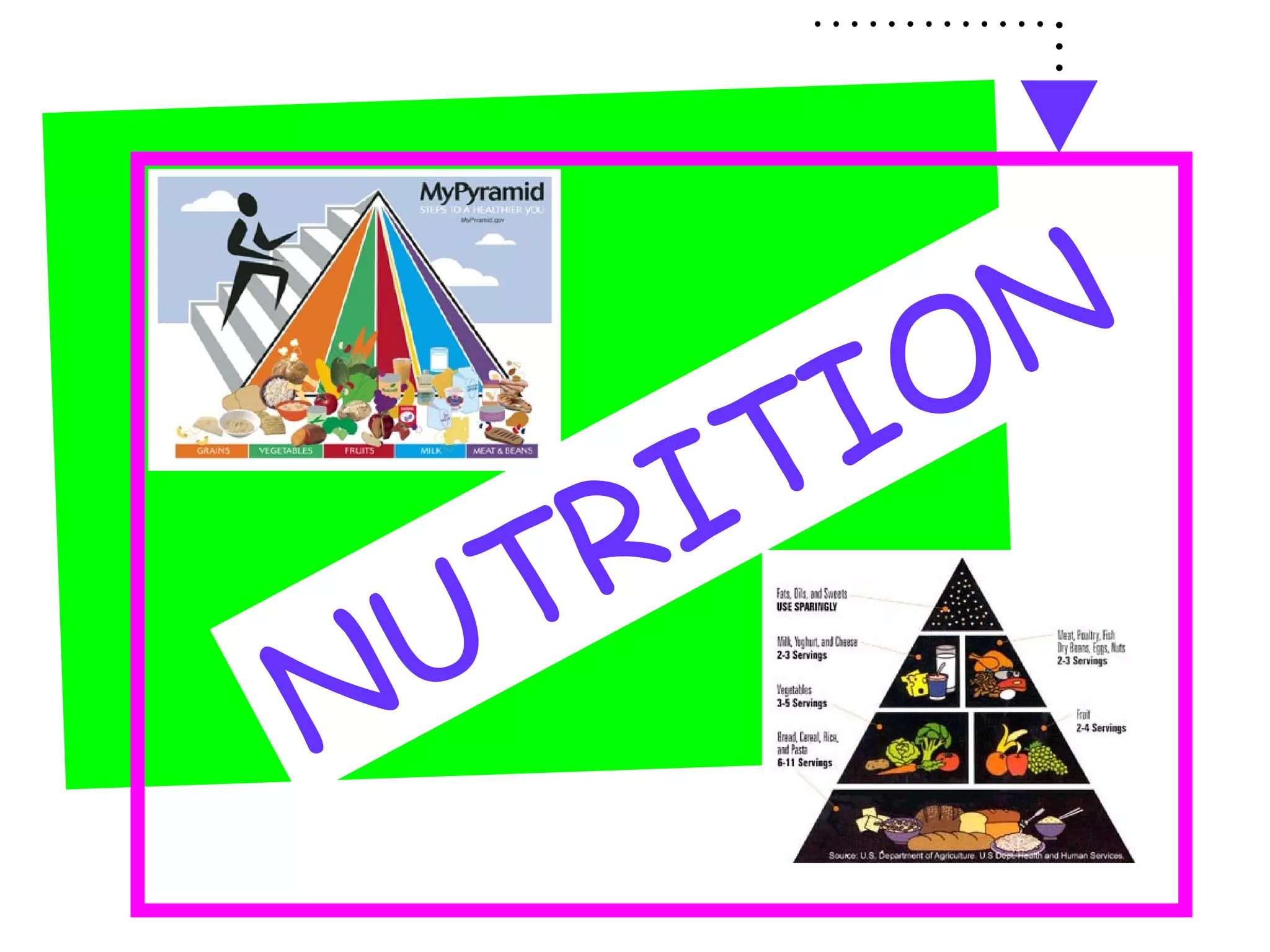 Eat a Variety of Nutritious Foods from All the Major Food Groups | PPT