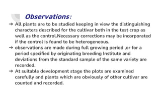 Varietal identificaton through grow-out test and Electrophoresis | PPTX
