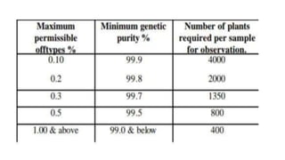 Varietal identificaton through grow-out test and Electrophoresis | PPTX