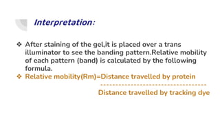 Varietal identificaton through grow-out test and Electrophoresis | PPTX