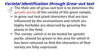 Varietal identificaton through grow-out test and Electrophoresis | PPTX