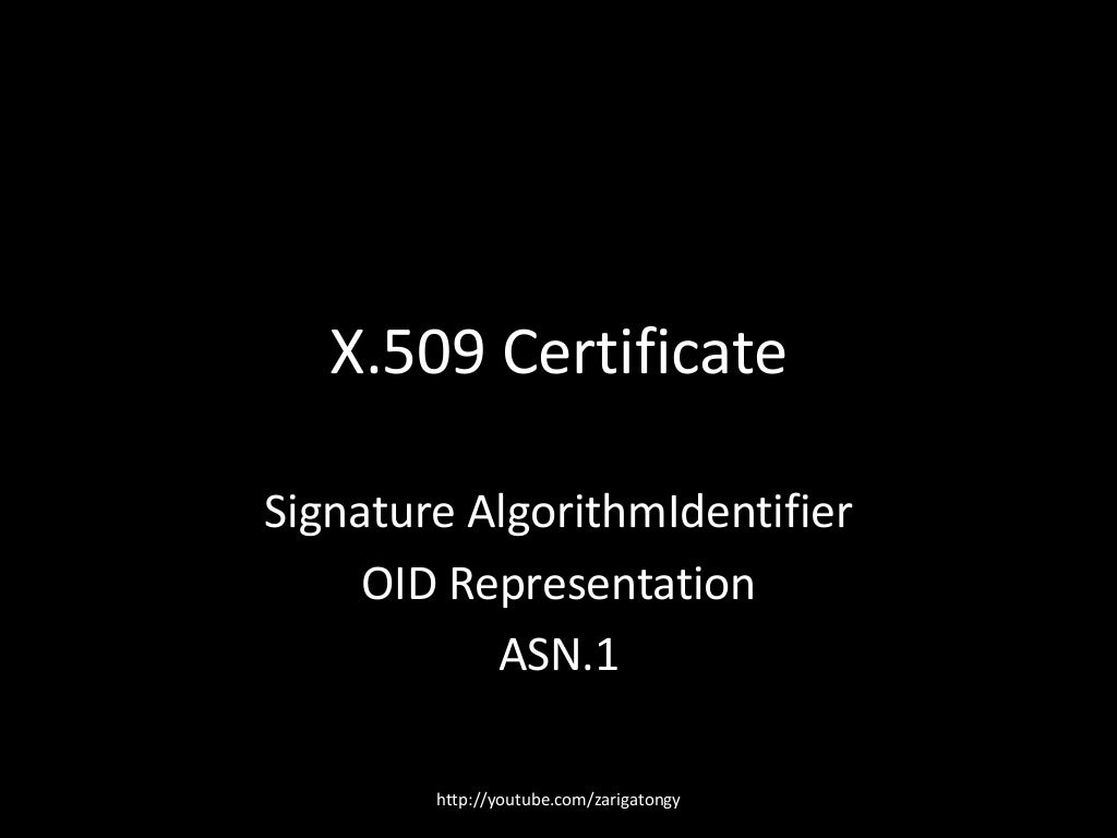 X509 Certificate Structure Oid Represenation Of Algorithmidentifier