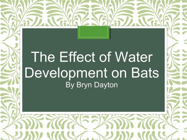 The Effect of Water Development on Bats | PPT
