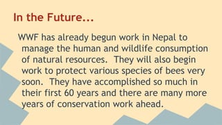 World wildlife fund presentation | PPTX
