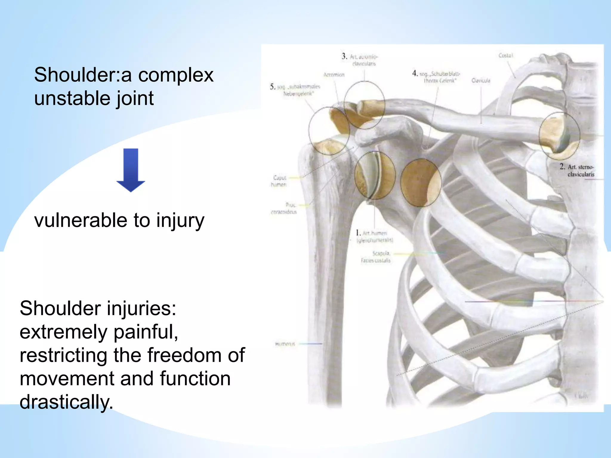 Shoulder sports related injuries | PPTX