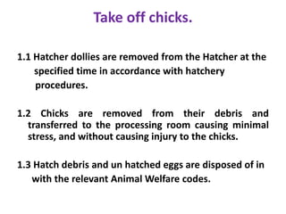 grading of day old-chicks | PPTX