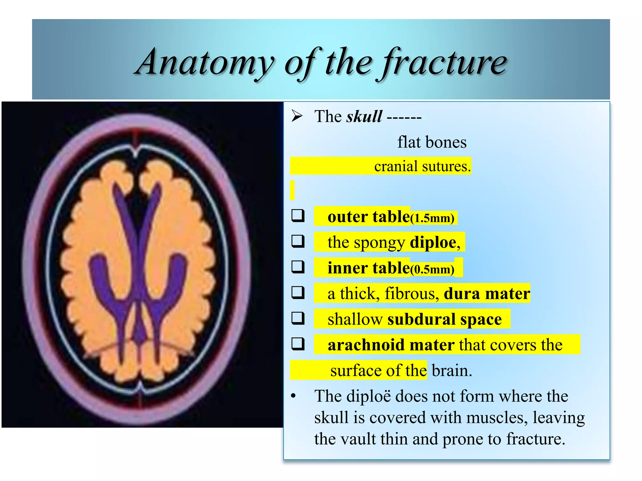 Anatomy of skull fractures | PPTX