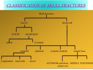 Anatomy of skull fractures | PPTX